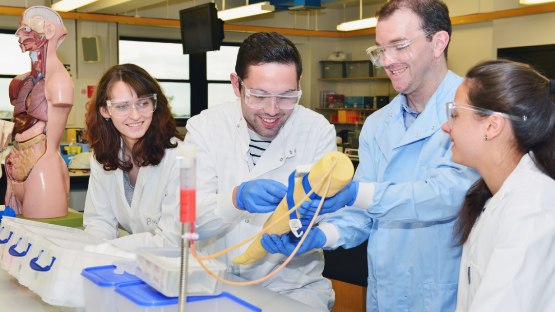 Biomedical Sciences (Anatomy), BSc | Northanmton University, Daleware